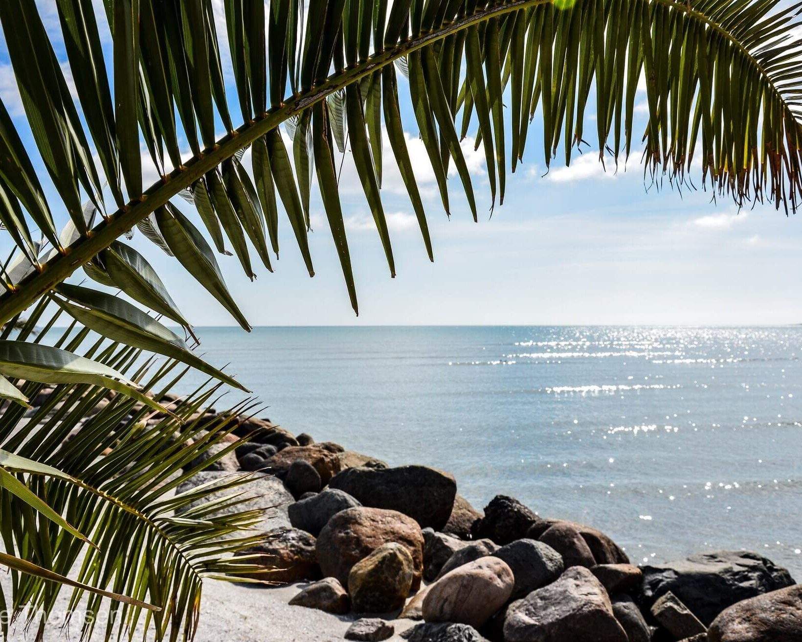 20 smukke strande og dramatiske kyster i Danmark | momondo