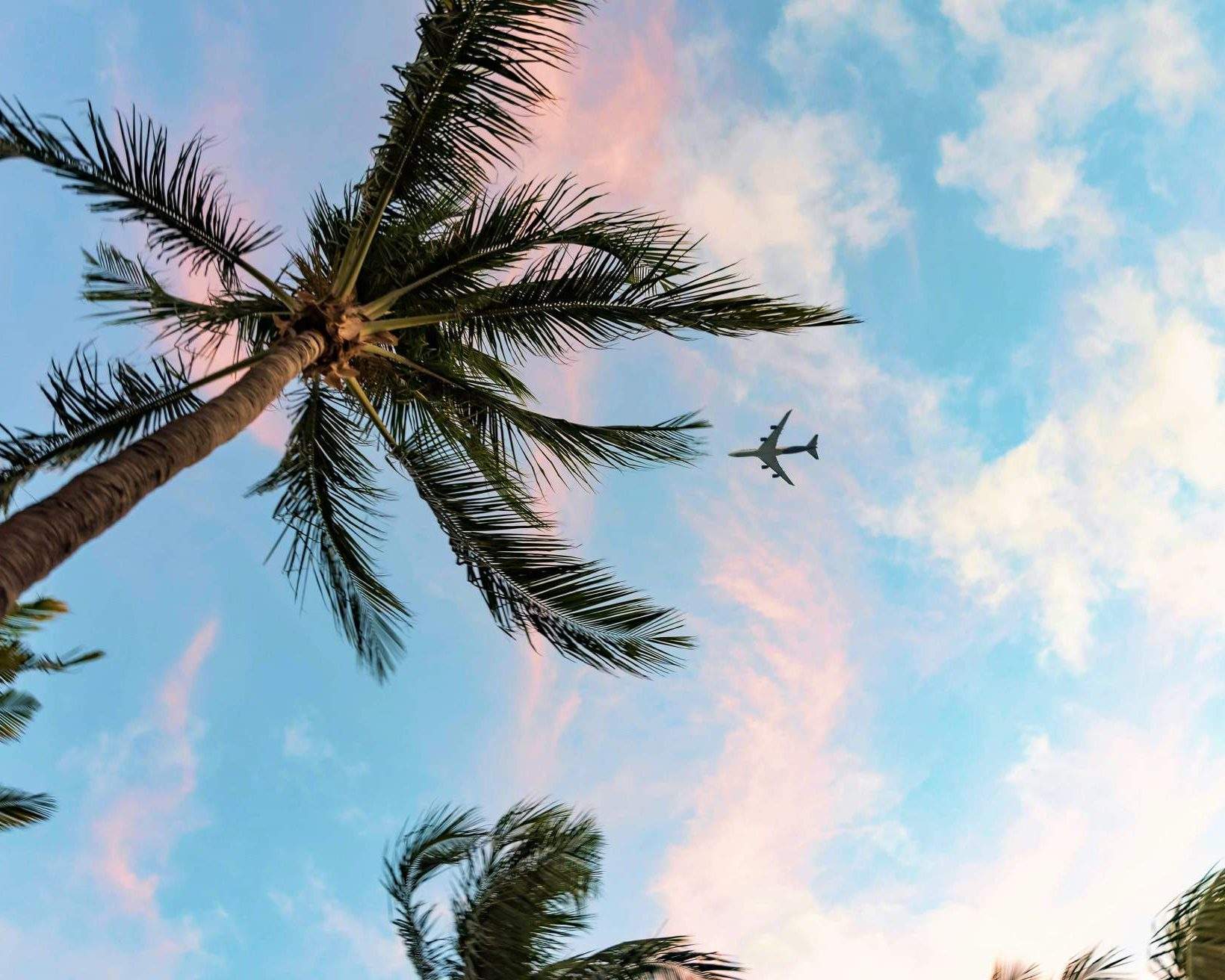 Billige flybilletter hvor som helst med Explore | momondo